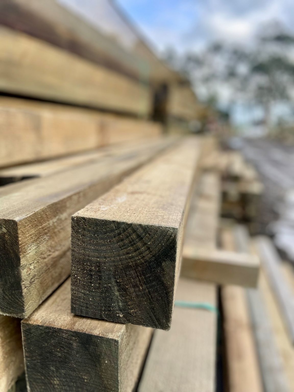 125 x 125mm Treated Pine Post Rough Sawn H4 - Robot Building Supplies